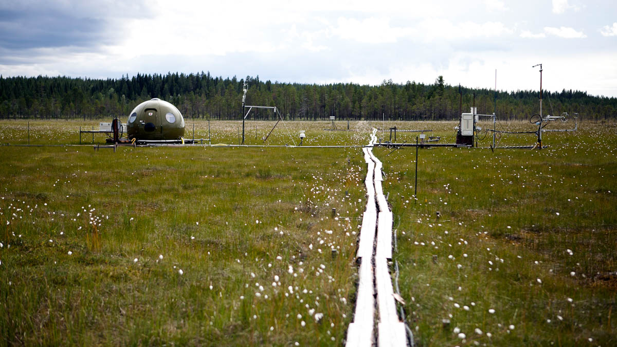 SLU_torvmarksexpriment - | forskning.se