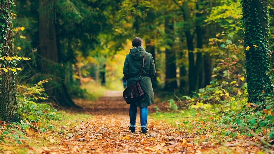 Forskning om funktionsnedsättning - forskning.se