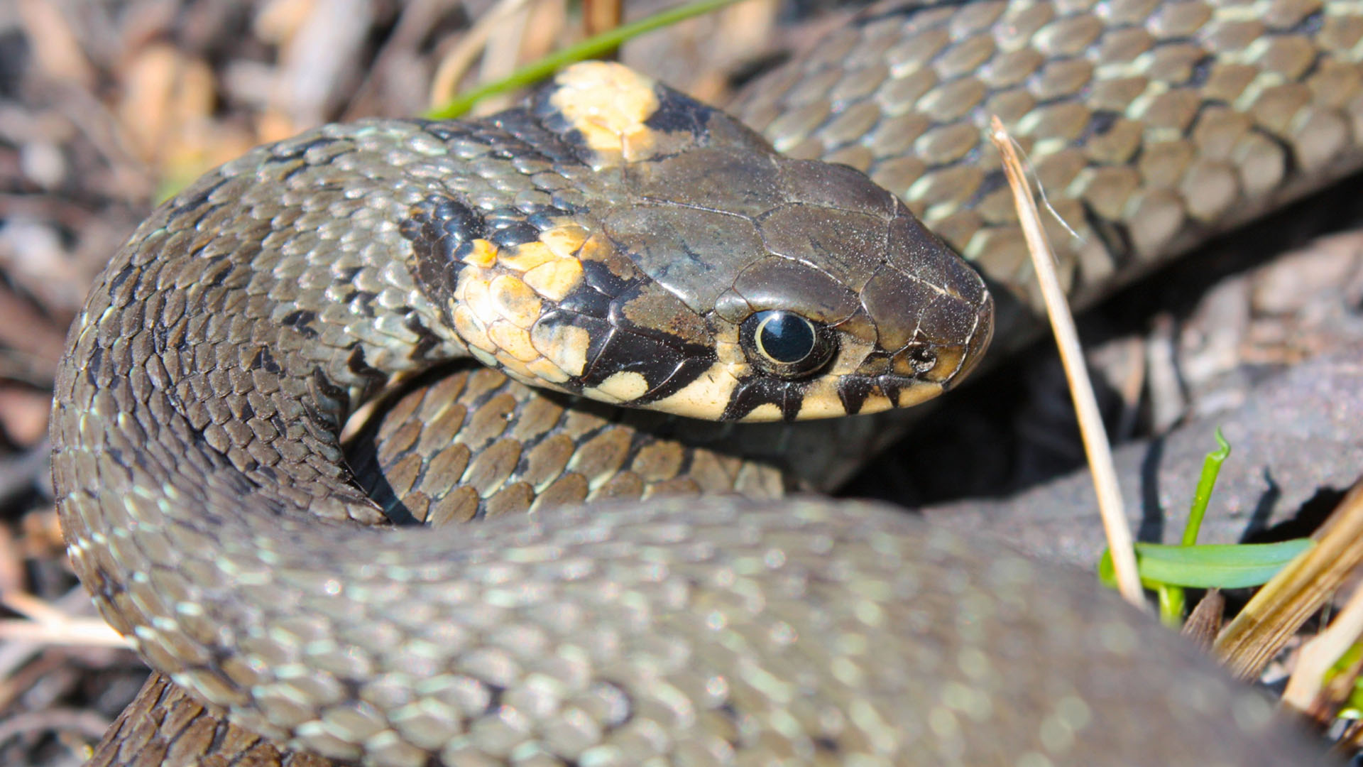 Maktspel och härskartekniker på internet - Forskning.se