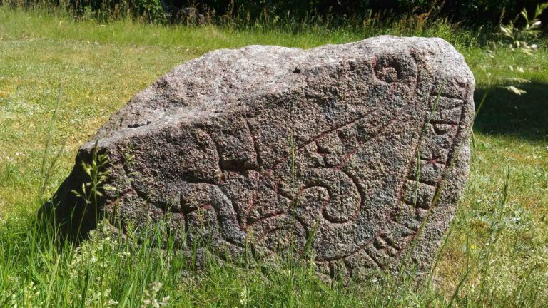 Symboler på träd vittnar om samiska ritualer - forskning.se