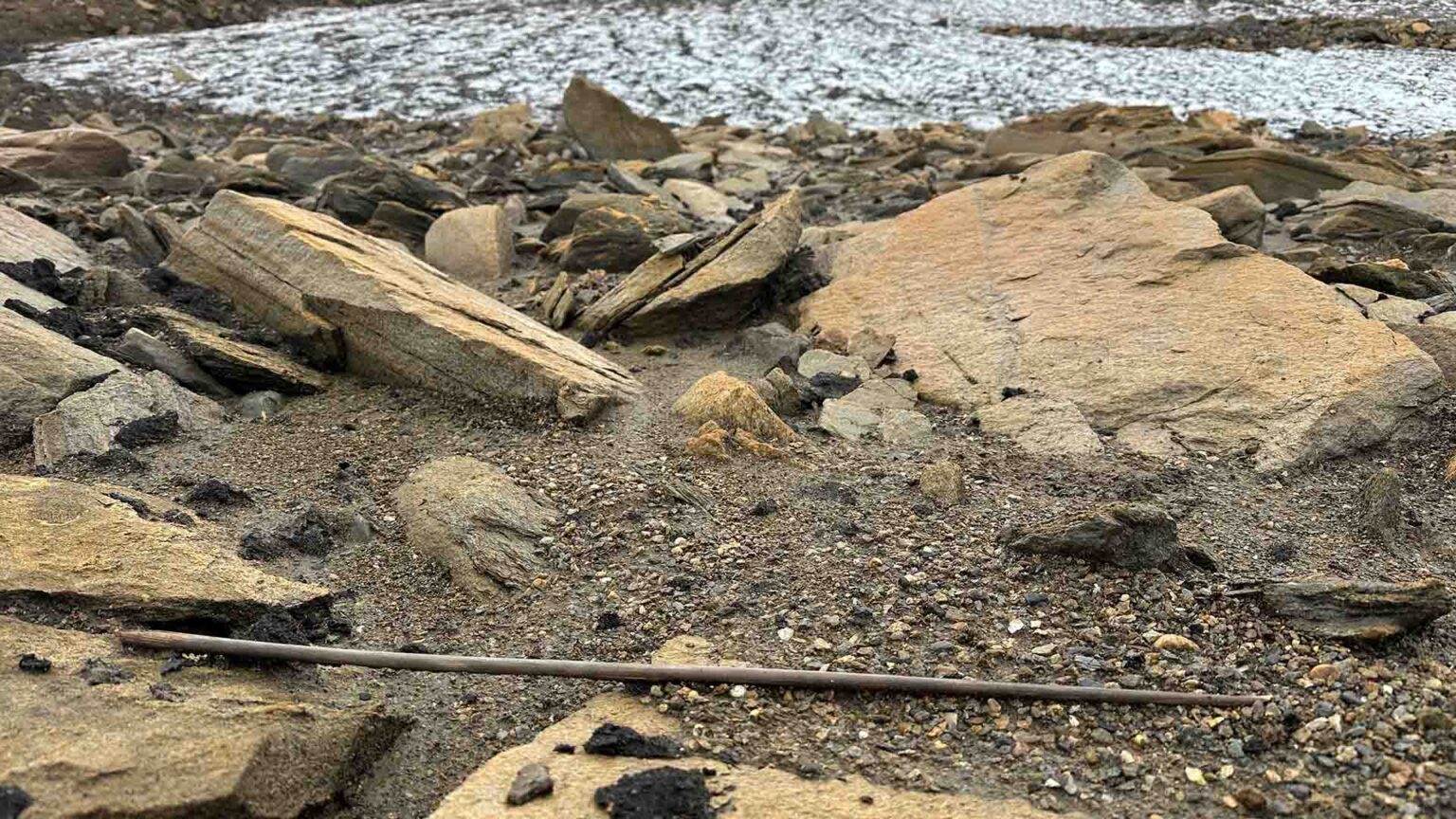 Symboler på träd vittnar om samiska ritualer - forskning.se