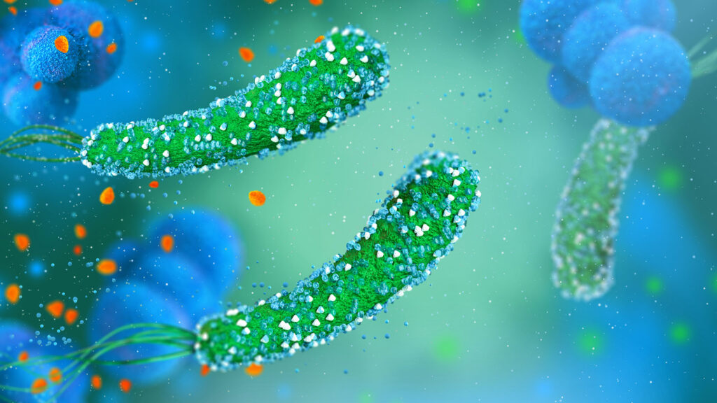 Forskning om bakterier - forskning.se