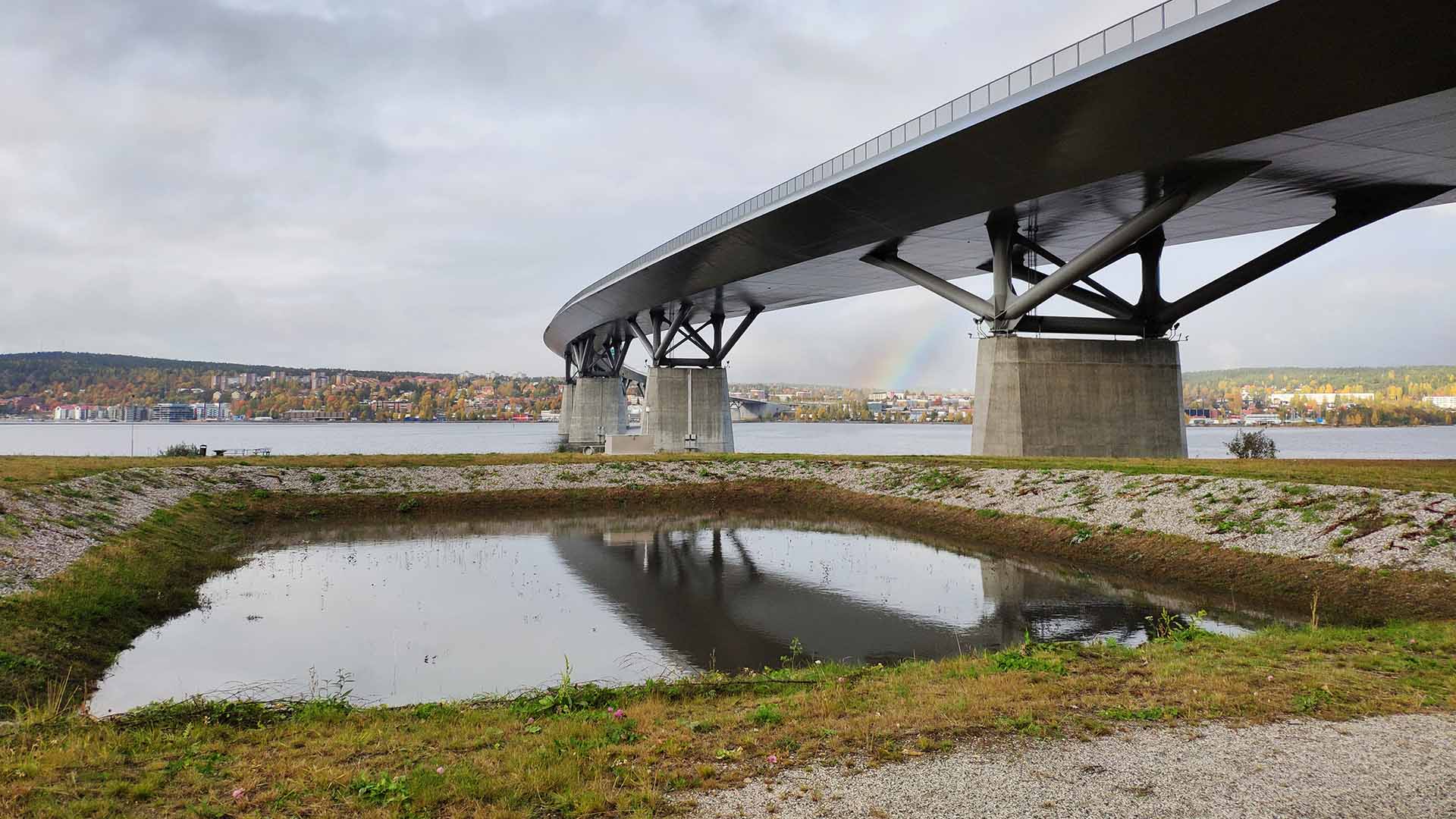 Stora mängder PFAS i dagvatten - forskning.se