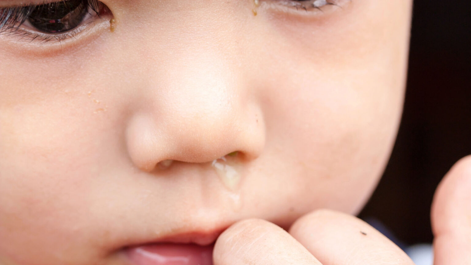 Snor och slem – viktigare än du tror - forskning.se