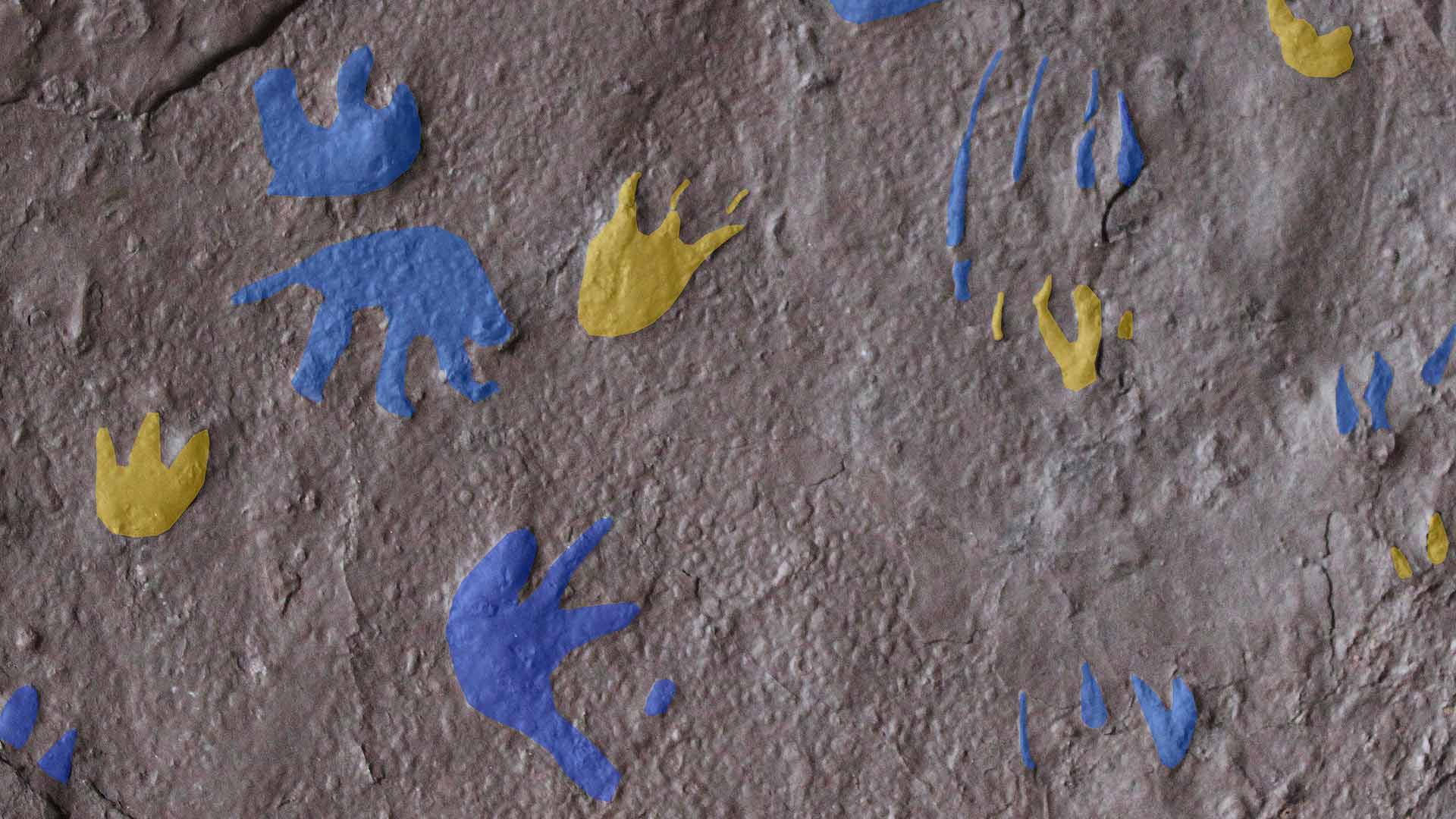 Fossila fotspår ger ny bild av reptilernas ursprung - forskning.se